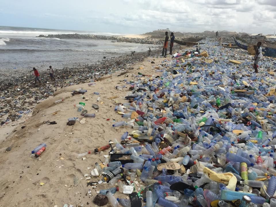 Efter års nøleri lægger EU nu op til et forbud mod eksport af ...