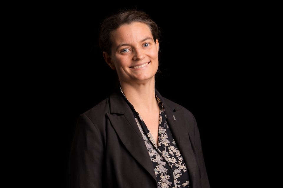 Millionbevilling til forskning i Bornholms militarisering i jernalderen ...