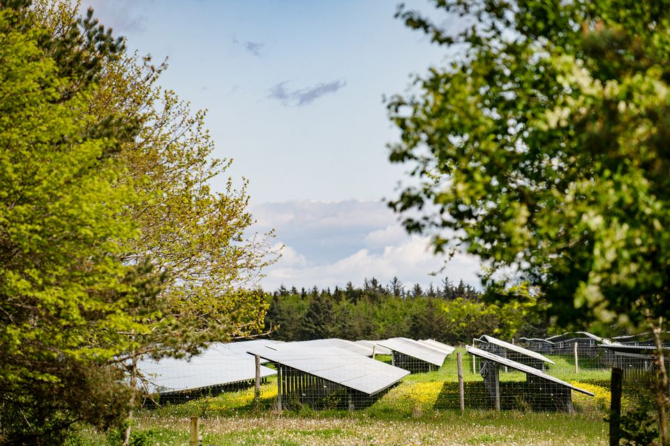 Borgere i Viuf og Håstrup i Kolding og Vejle Kommune viser vejen til ...