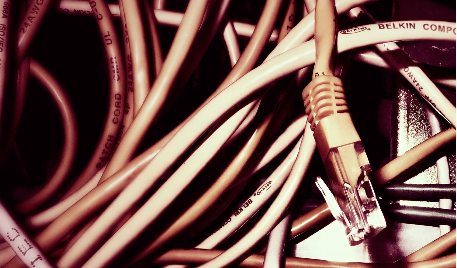 If lancerer forsikring mod online-angreb med IBM | If Forsikring
