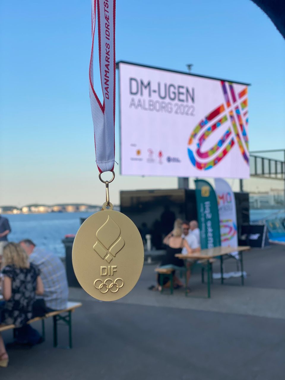 Region Syddanmark fik 31 guldmedaljer med hjem fra DM-ugen | Danmarks ...