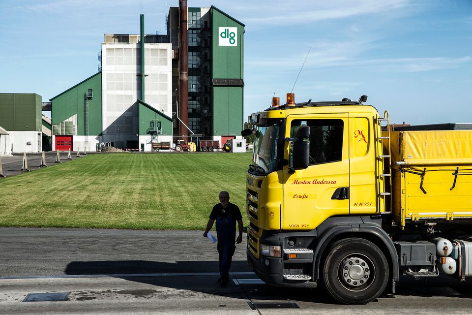 DLG: Udsigt til klart bedre høst i år | DLG a.m.b.a