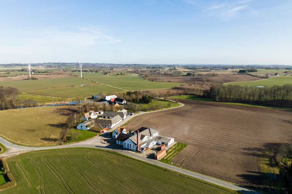 Gundestrup Mejeri og Bryghus fra Fyn leverer ægte, håndlavet rygeost ...