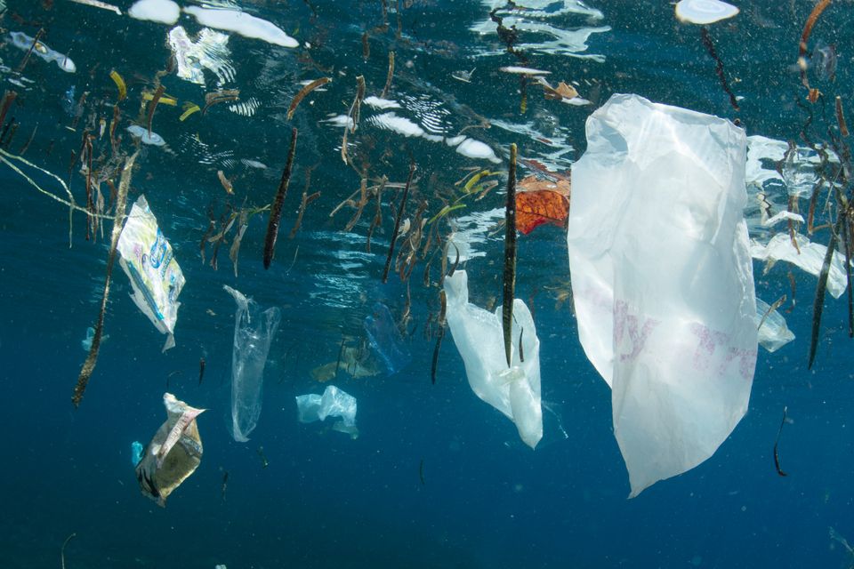 WWF-rapport: Plastikregningen tidobles i verdens fattigste lande | WWF ...