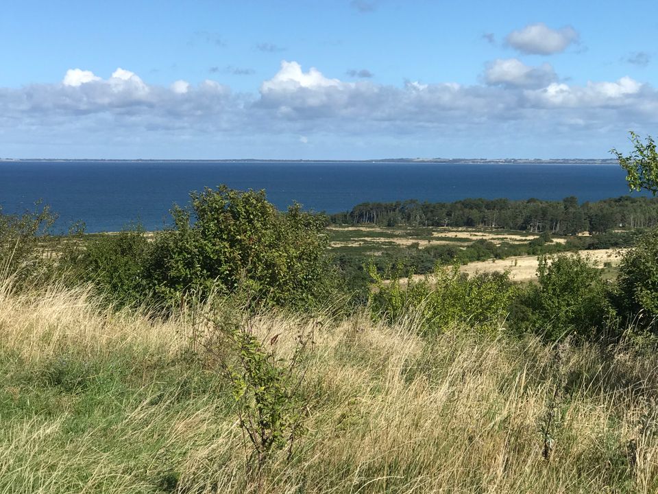 Veddinge Bakker og Skamlebæksletten fredes | Danmarks ...