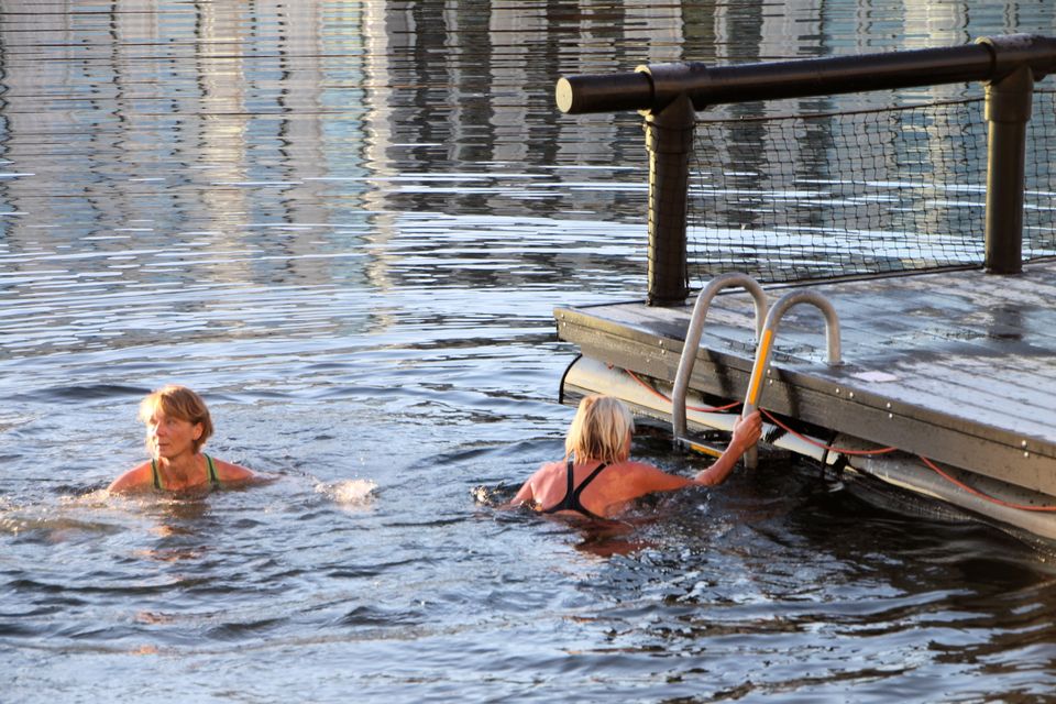 Flere tager det kolde gys i havnen: Så mange vinterbader i Københavns ...
