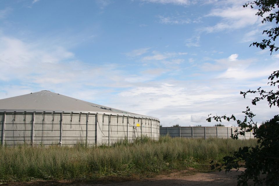 Forskere: Her kan landbruget reducere udledningen af drivhusgasser ...