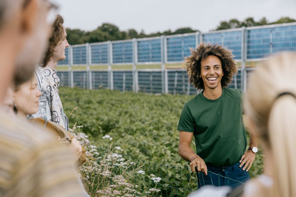 Dobbelt høst: Solpaneler og afgrøder kan dele mark – uden tab | Aarhus ...