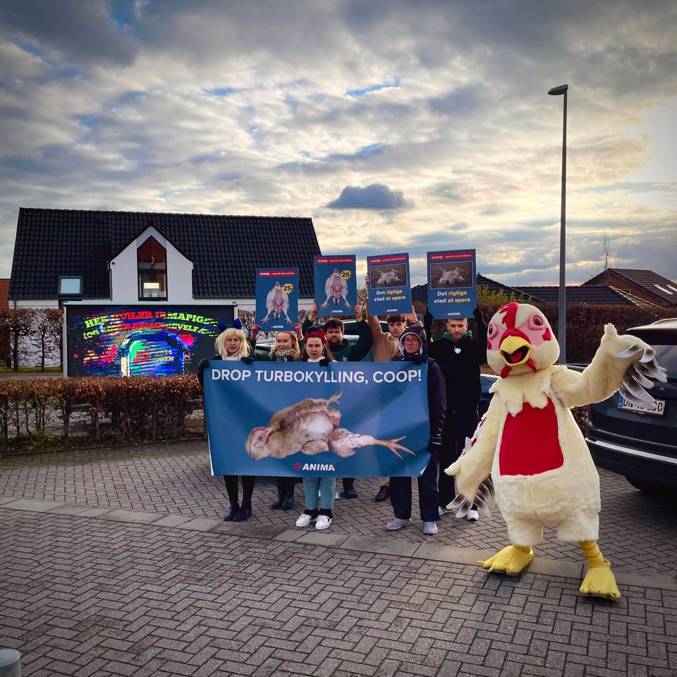 Dyrevenner begraver Irma-pigen ved Coops landsrådsmøde | Anima