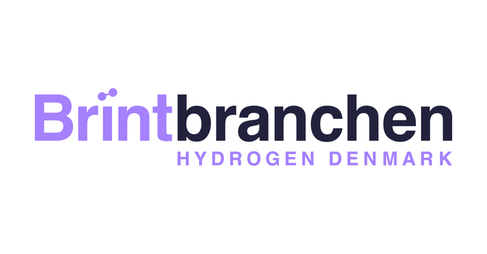 Nytårsudtalelse 2025: Ud af den grønne krise med vished om ...