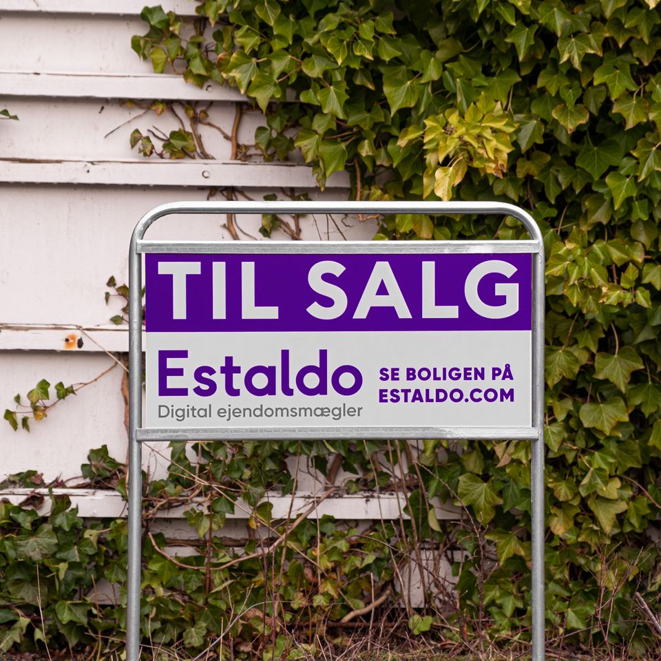 Kendt fra Løvens Hule: Digital ejendomsmægler vækster 300% men fortsætter underskud. | Estaldo.com