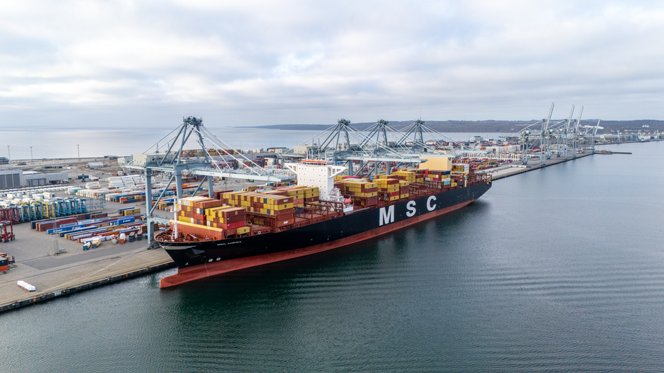 Første containerskib ankommer til Aarhus Havn på ny direkte MSC-rute ...