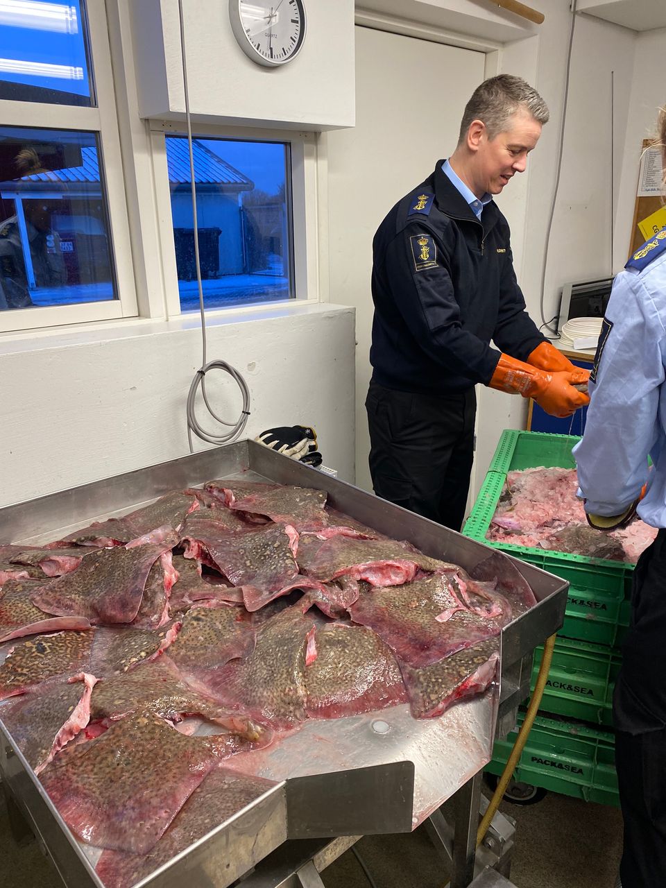 Fiskerikontrollen konfiskerer over 400 kg rokker | Landbrugs- og ...