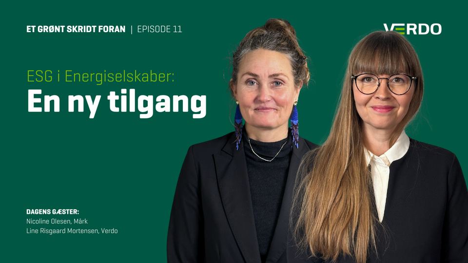 Nøglen til succes: ESG skal være en integreret del af forretningen ...