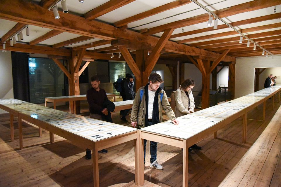 Ukraine House in Denmark welcomed over 400 guests during Kulturnatten ...