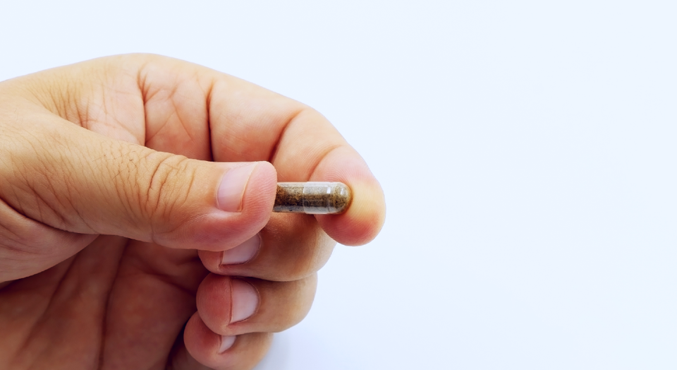 Researchers hope to develop novel drugs for gastrointestinal disorders ...