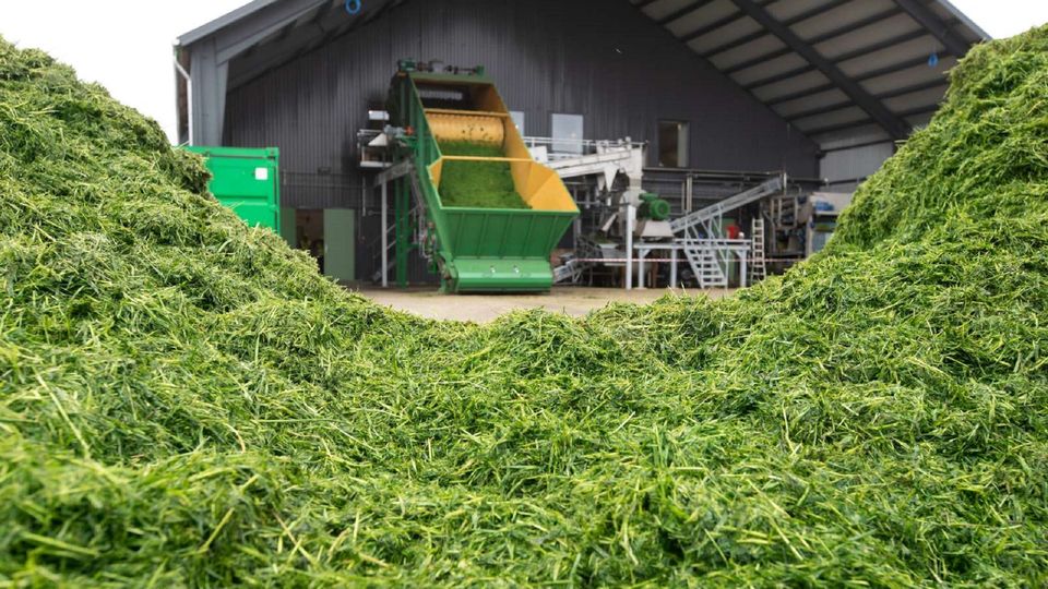 Nyt projekt vil revolutionere bæredygtig proteinproduktion til ...