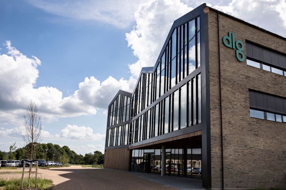DLG Group fortsætter transformationen i et transitionsår | DLG Group