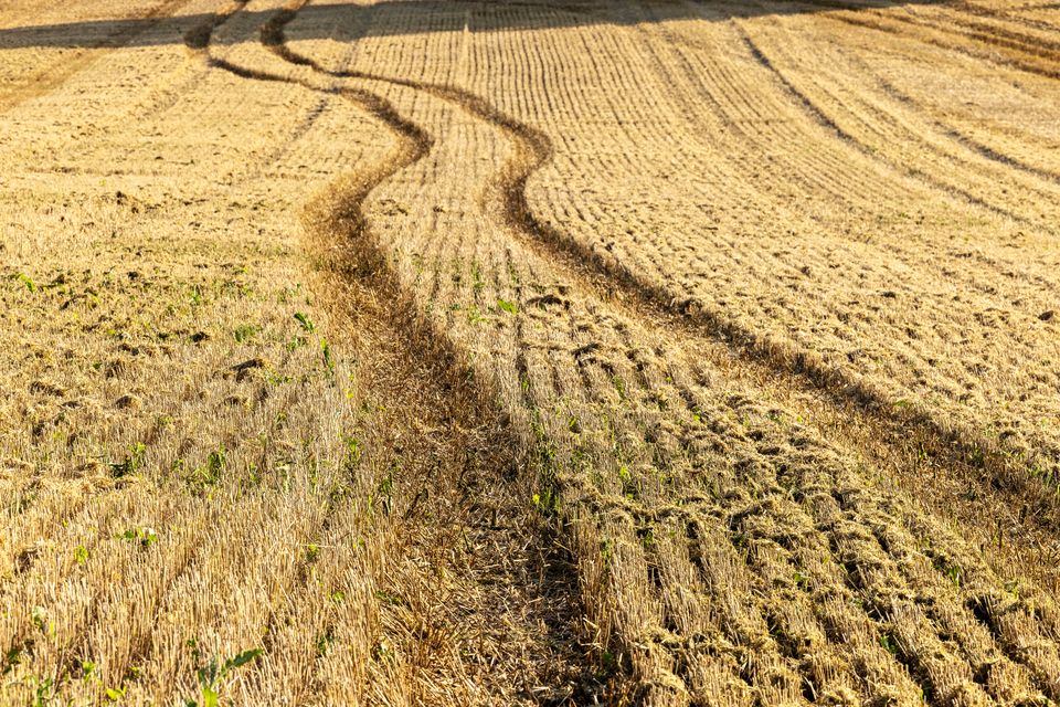 DLG Group kickstarter pilotprojekt, der skal dokumentere effekterne af ...