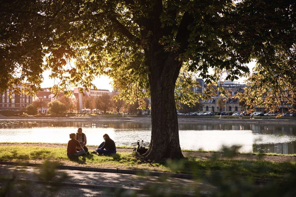 Østdanskernes elforbrug havde vokseværk i sommeren | Cerius Radius