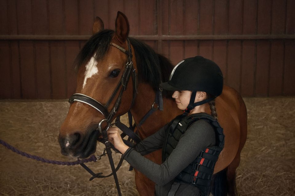 Ejere kan mindske risiko for hestens halthed | Agria Dyreforsikring