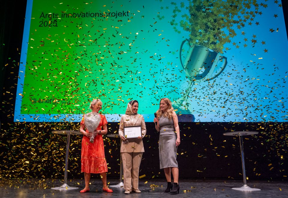 Grøn innovation i fuld skala: Glasfibre får nyt liv i Taiwan | Energy ...