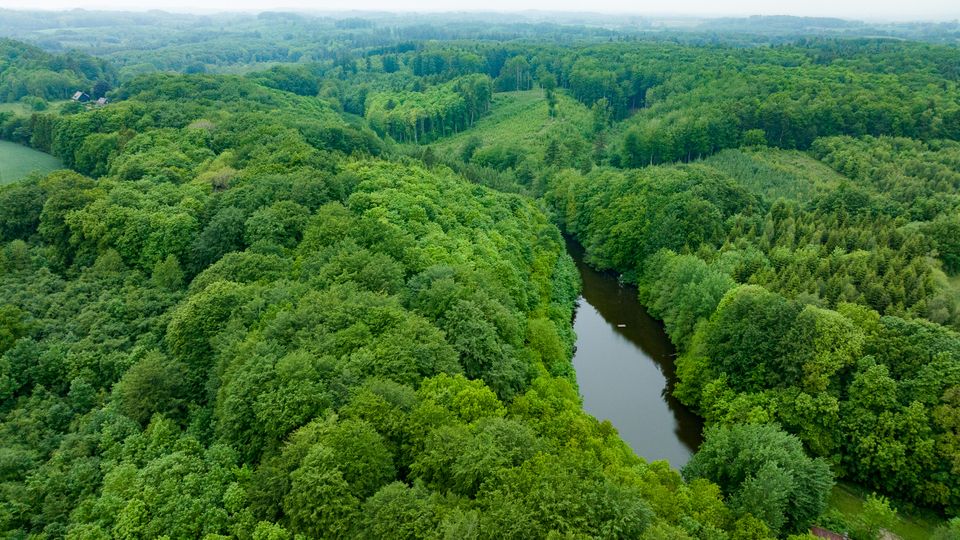 Eventyrsports kunder donerer vild natur i Hesbjerg Skov ved Odense ...