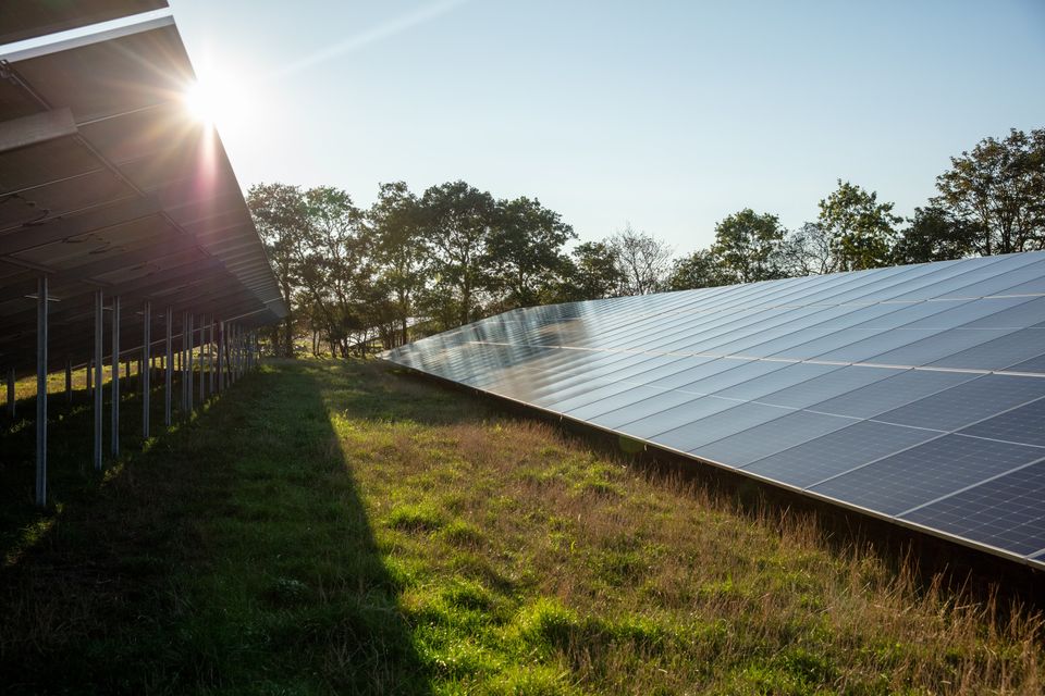 Better Energy solcellepark producerer nu grøn strøm til Carlsberg ... Better Energy solcellepark producerer nu grøn strøm til Carlsberg ...
