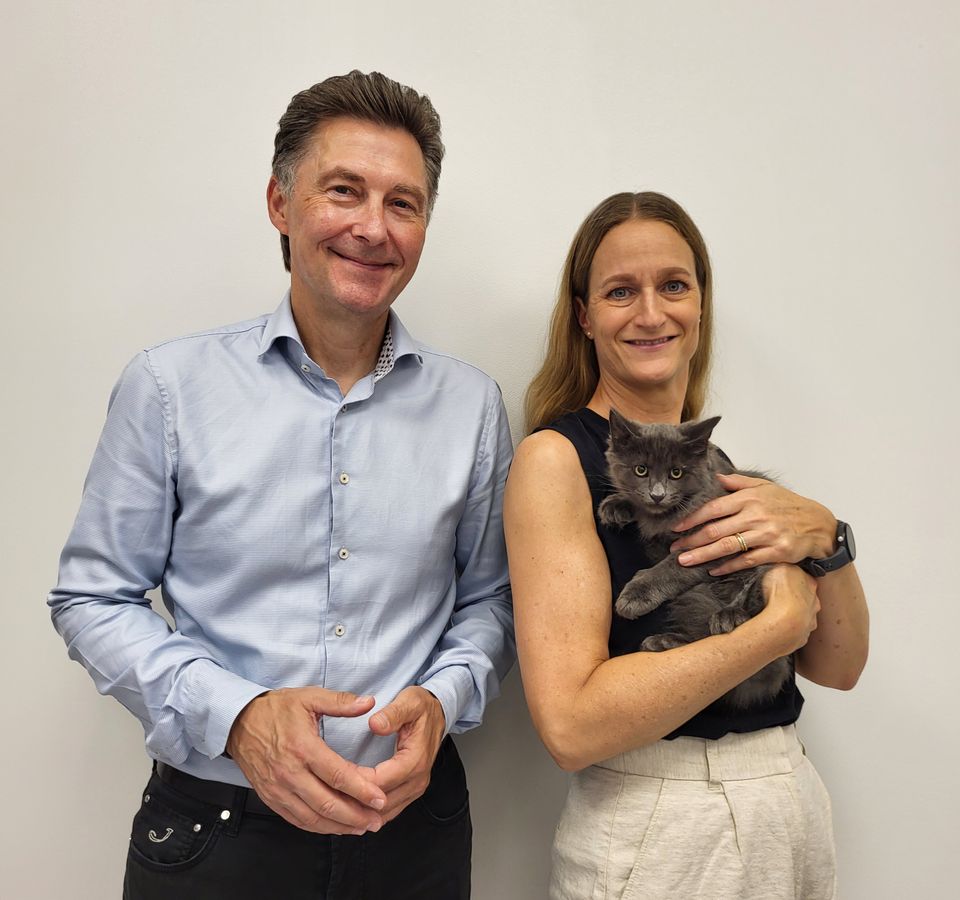 Dyreværnet og Kattens Værn går sammen om at reducere de store kattehold ...